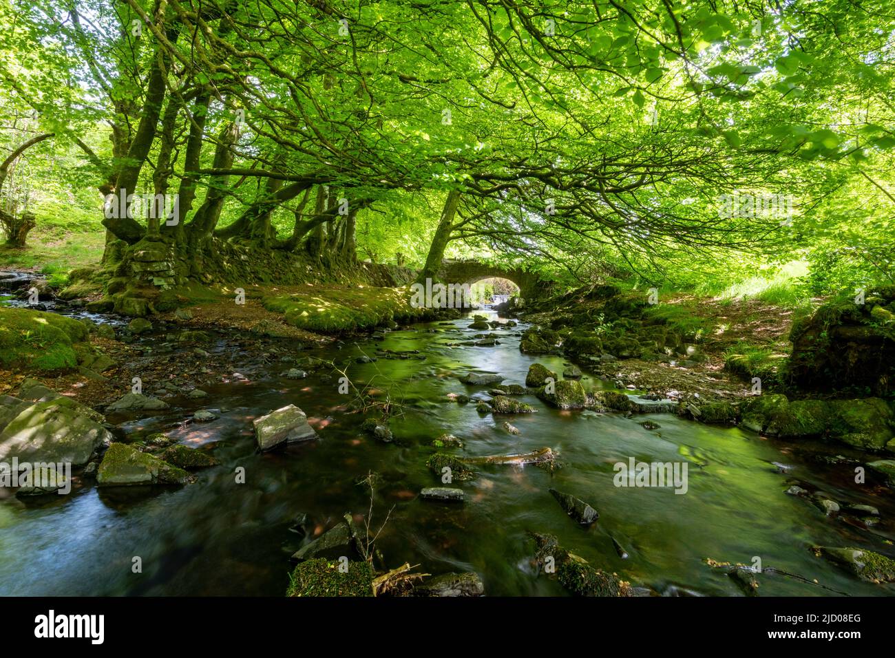 The Weir Water river flowing under Robbers Bridge in Exmoor National ...