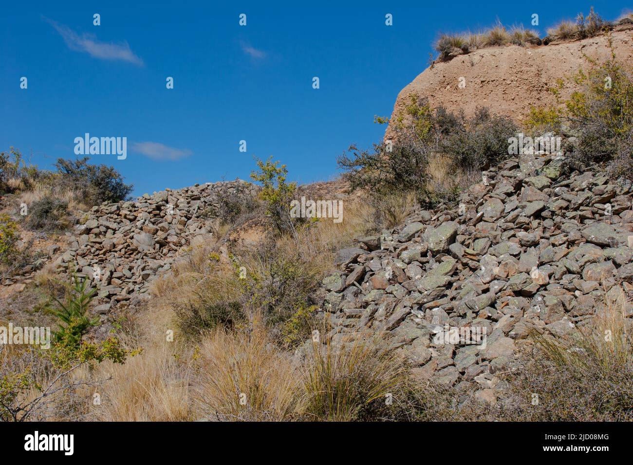 A look at life in New Zealand. Old Gold workings. Piles of stones left ...