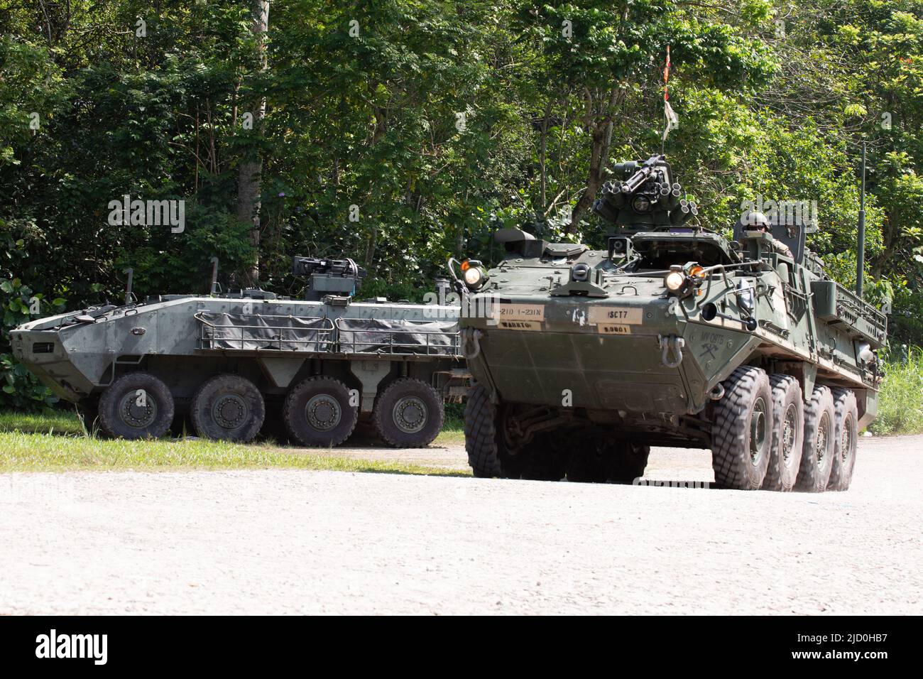 Terrex infantry carrier hi-res stock photography and images - Alamy