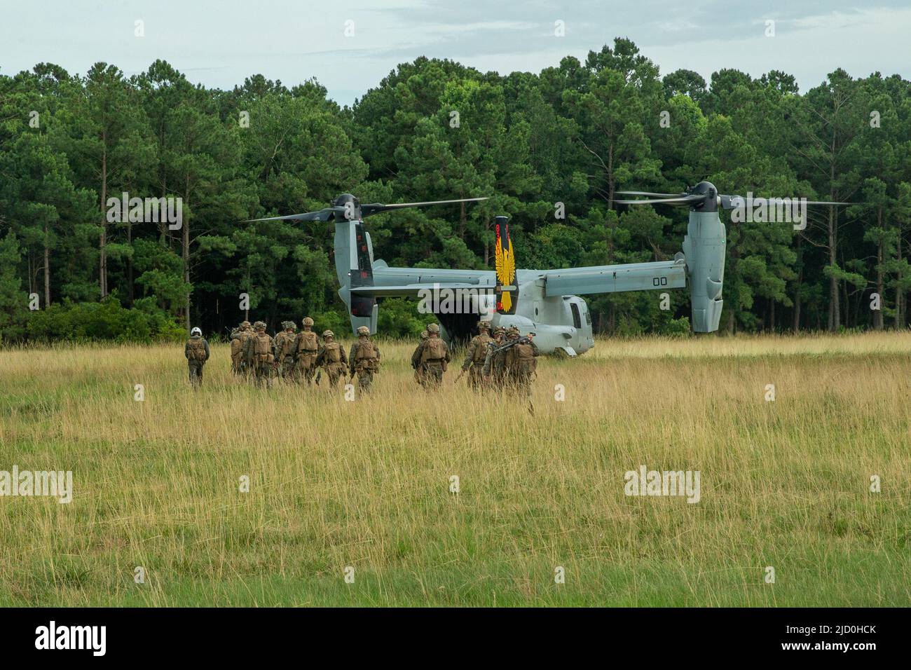 U.S. Marines with 1st Battalion, 2d Marine Regiment, 2d Marine Division ...