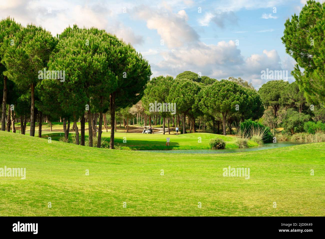 Scenic panoramic view of golf fairway at the golf course Stock Photo ...