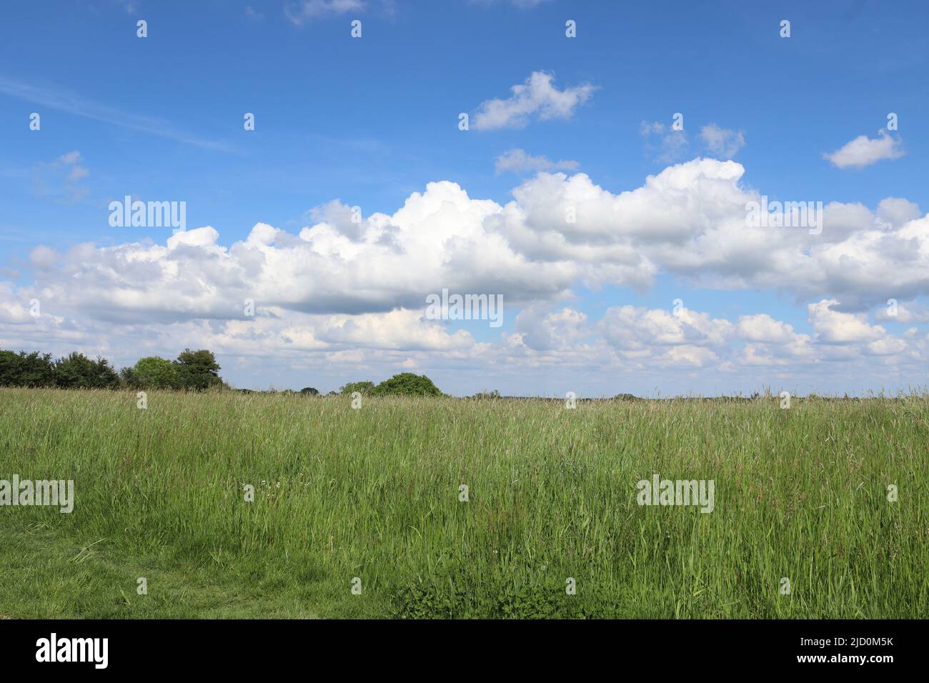 Folly field hi-res stock photography and images - Alamy