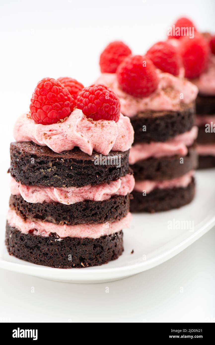 Freshly baked home made Chocolate Raspberry Gateaux with buttercream ...