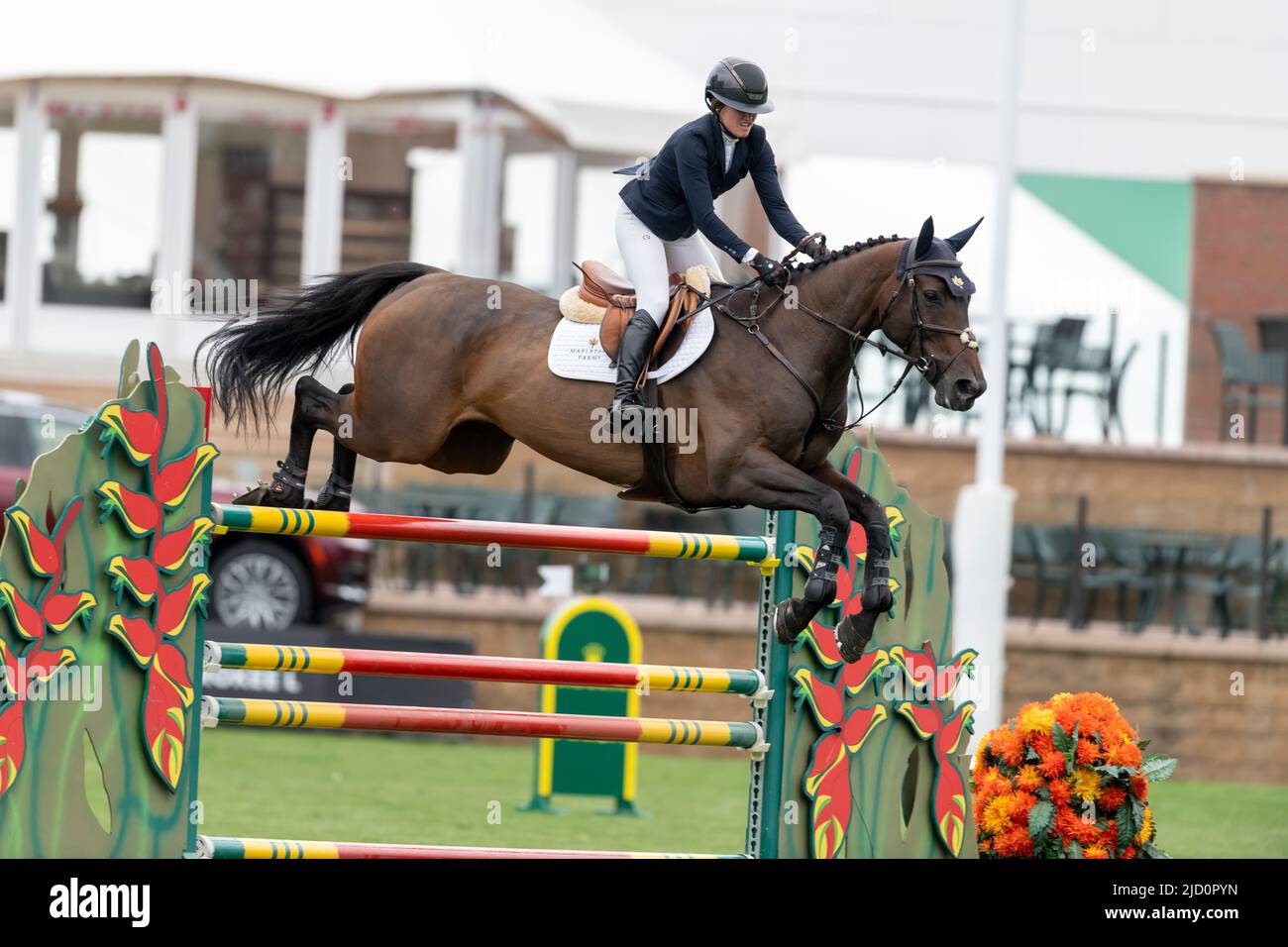 Calgary, Alberta, Canada, 2022-06-16, Kara Chad (CAN) riding Quidamo F ...