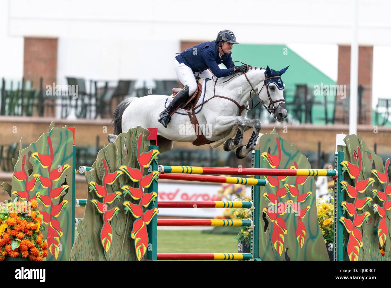 Horse rider judge hi-res stock photography and images - Alamy