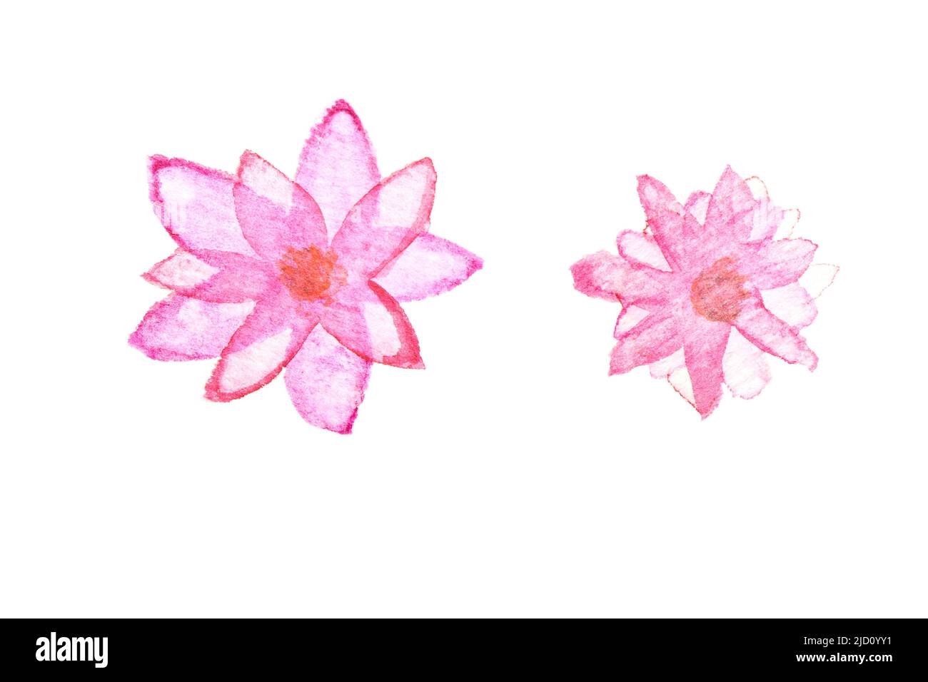 Blossoming watercolor pink tree. Spring flower in bloom. 2 types ...