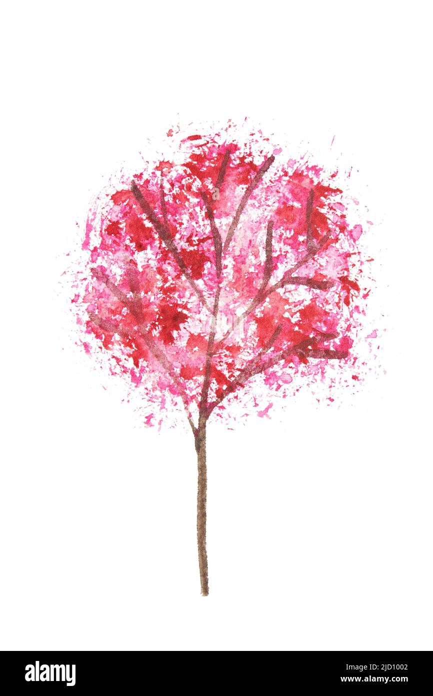 Blossoming watercolor pink tree. Spring flower in bloom on branch ...
