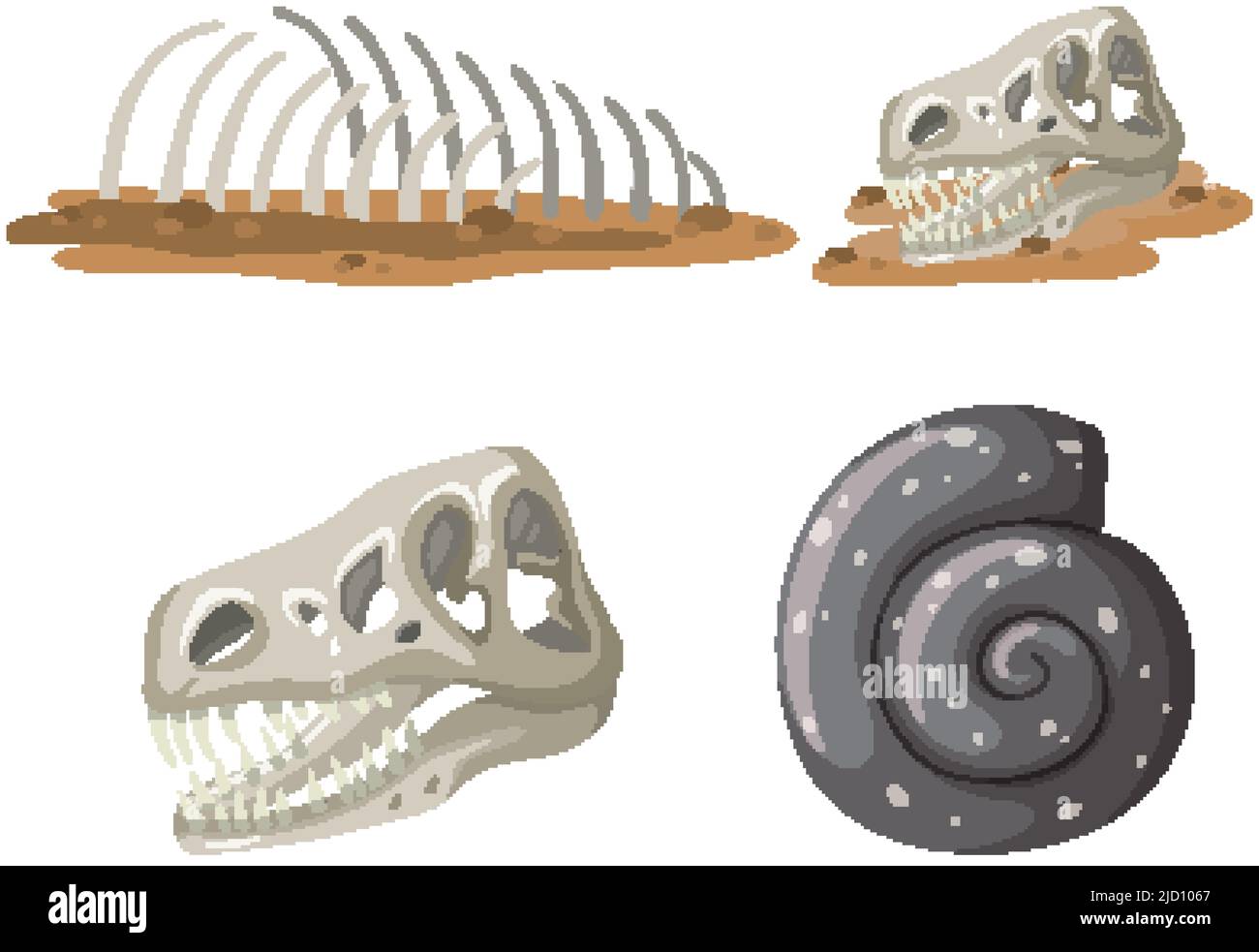 Set of different fossils isolated illustration Stock Vector Image & Art ...