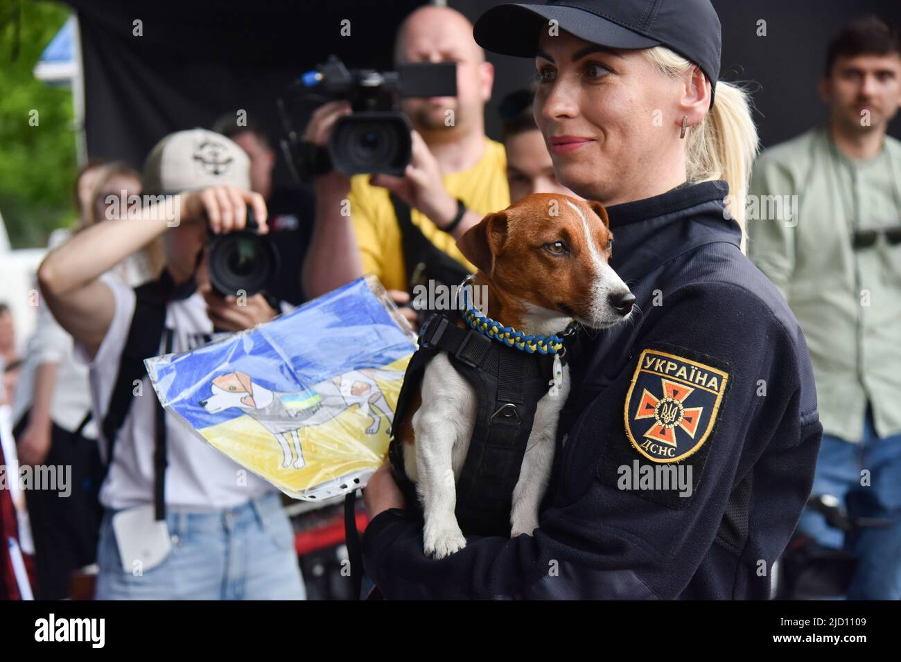 Lviv, Ukraine. 01st June, 2022. The famous sapper dog Patron seen ...