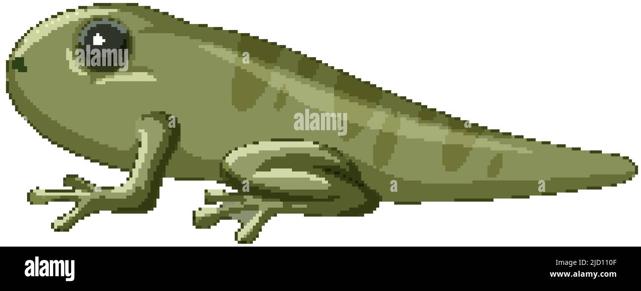How To Draw Tadpole With Legs