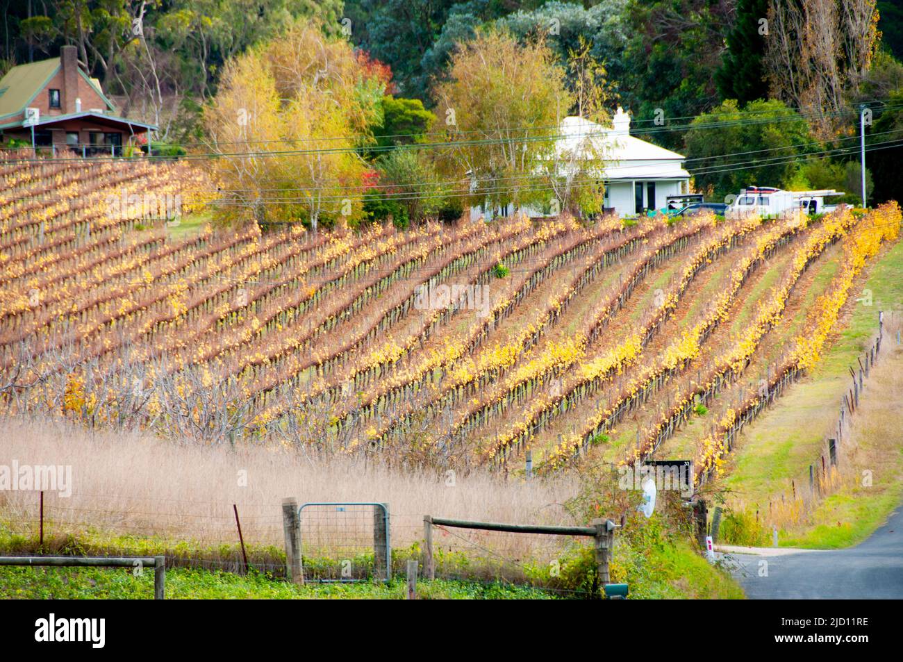 Adelaide hills landscape hi-res stock photography and images - Alamy