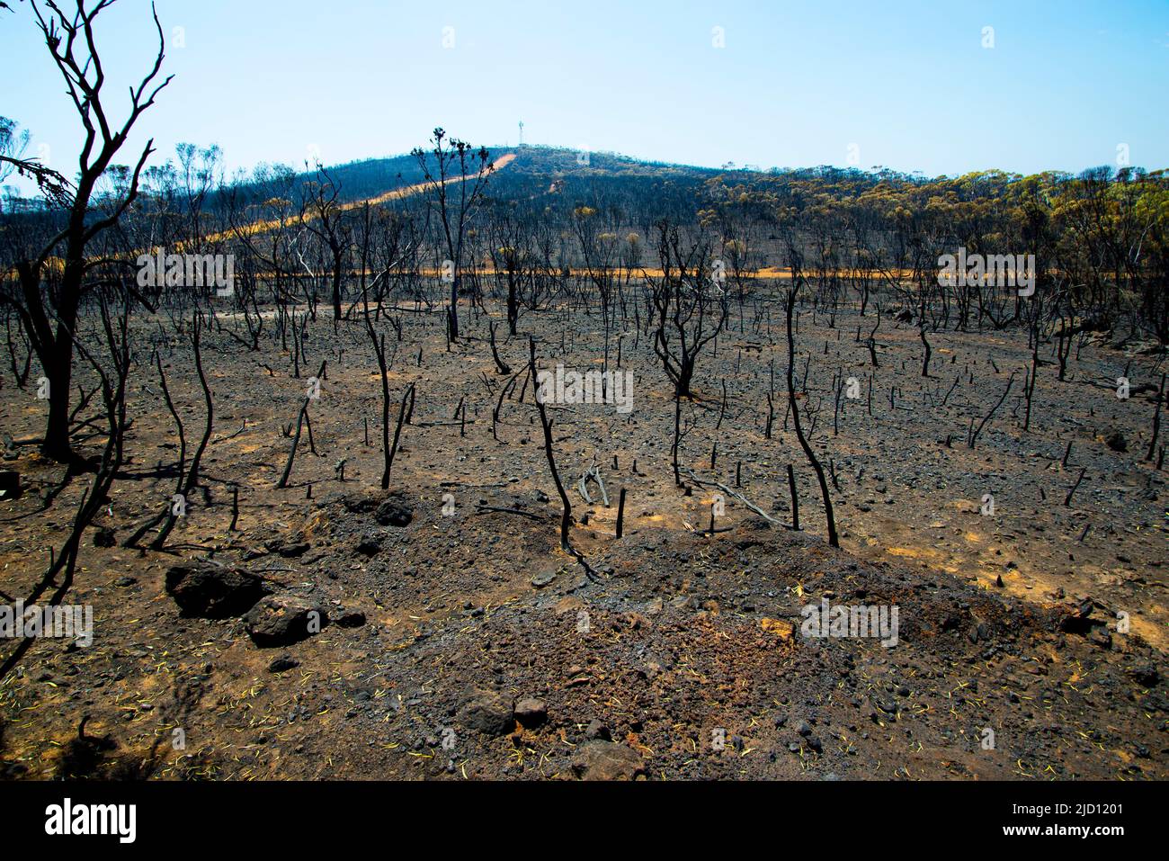 Bush Fire Environmental Damage in Australia Stock Photo - Alamy