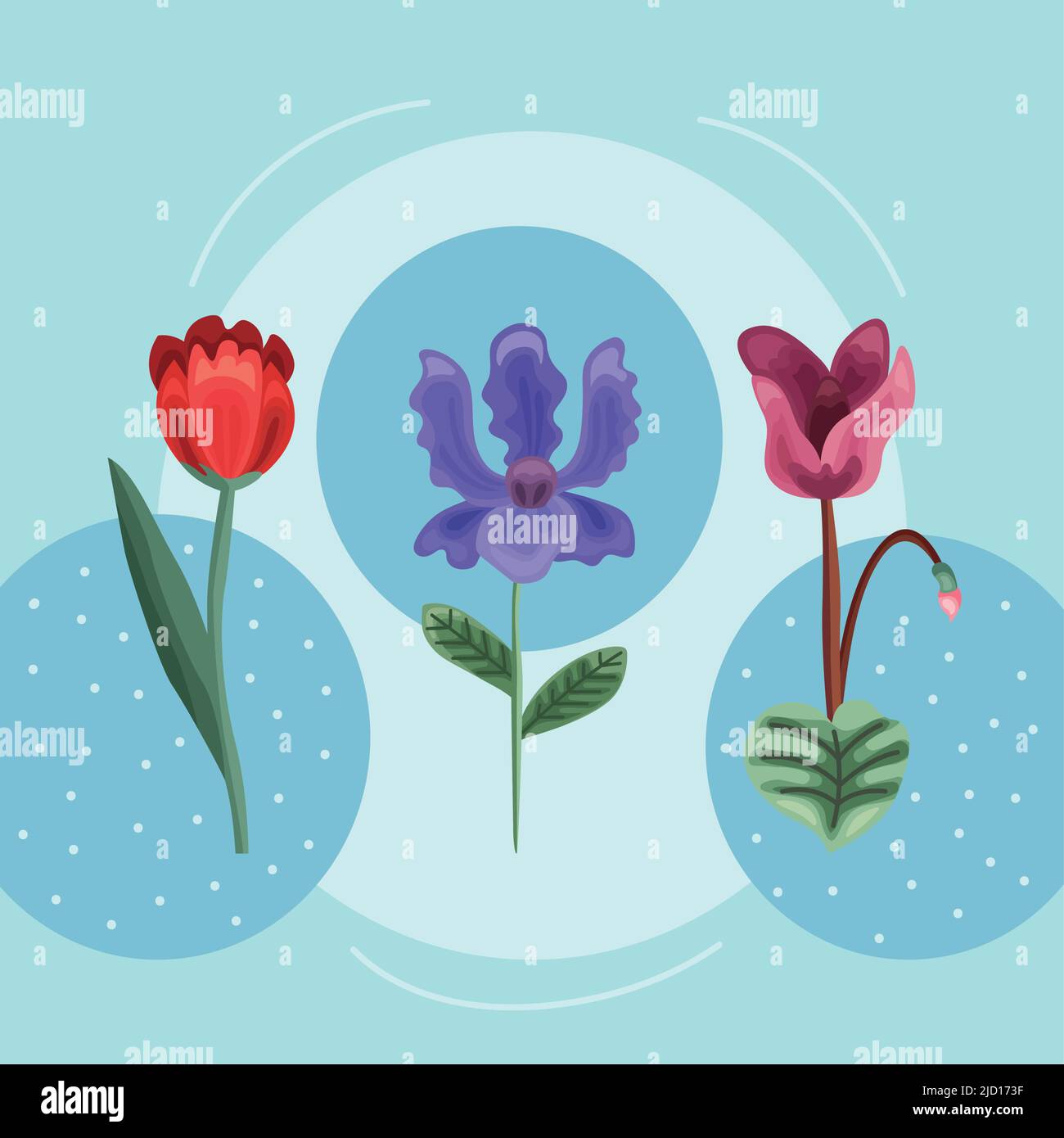 Three rose petals Stock Vector Images - Alamy