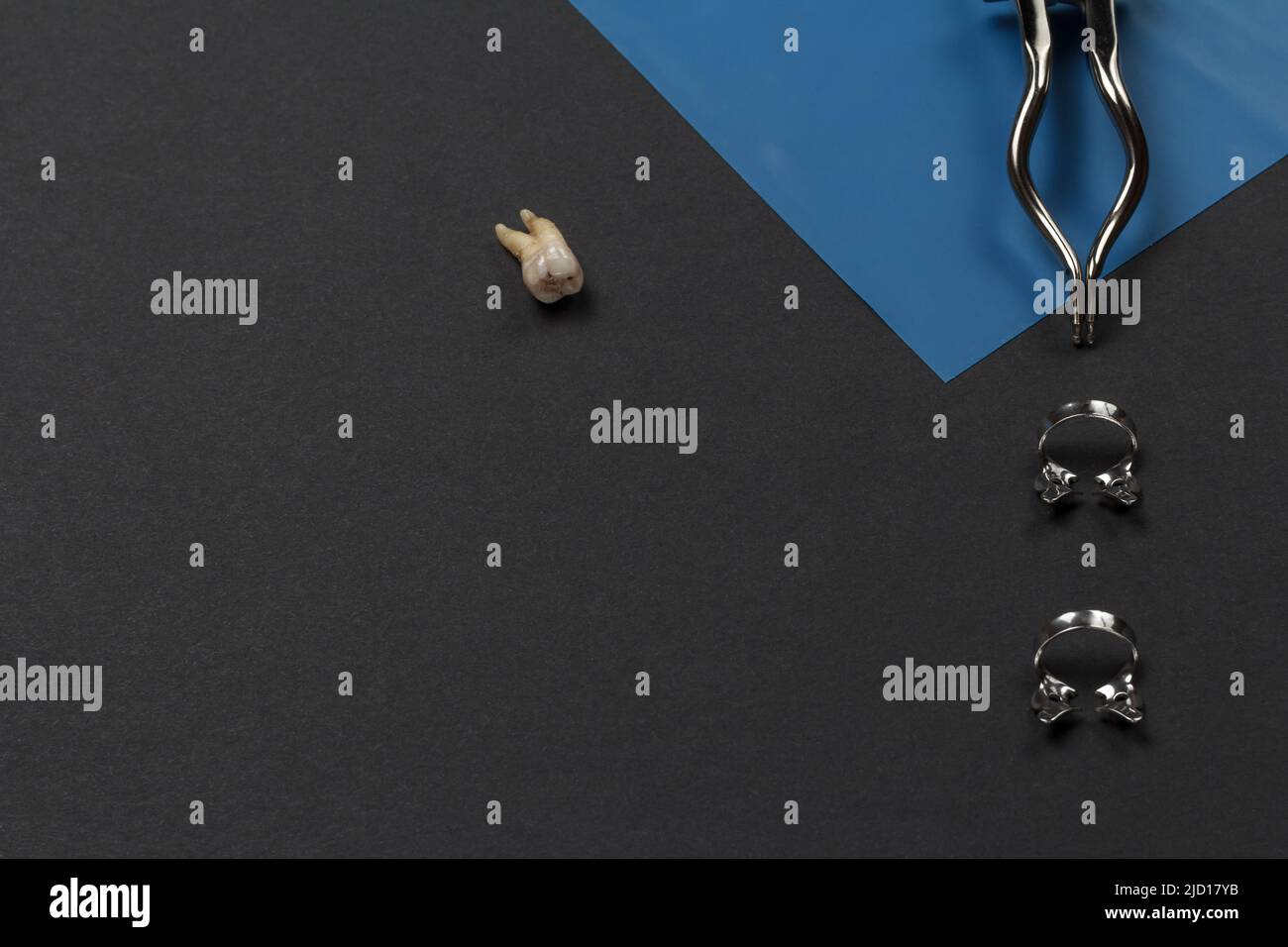 Rubber dam with dental dam clamps, a rubber dam clamp forceps and an ...