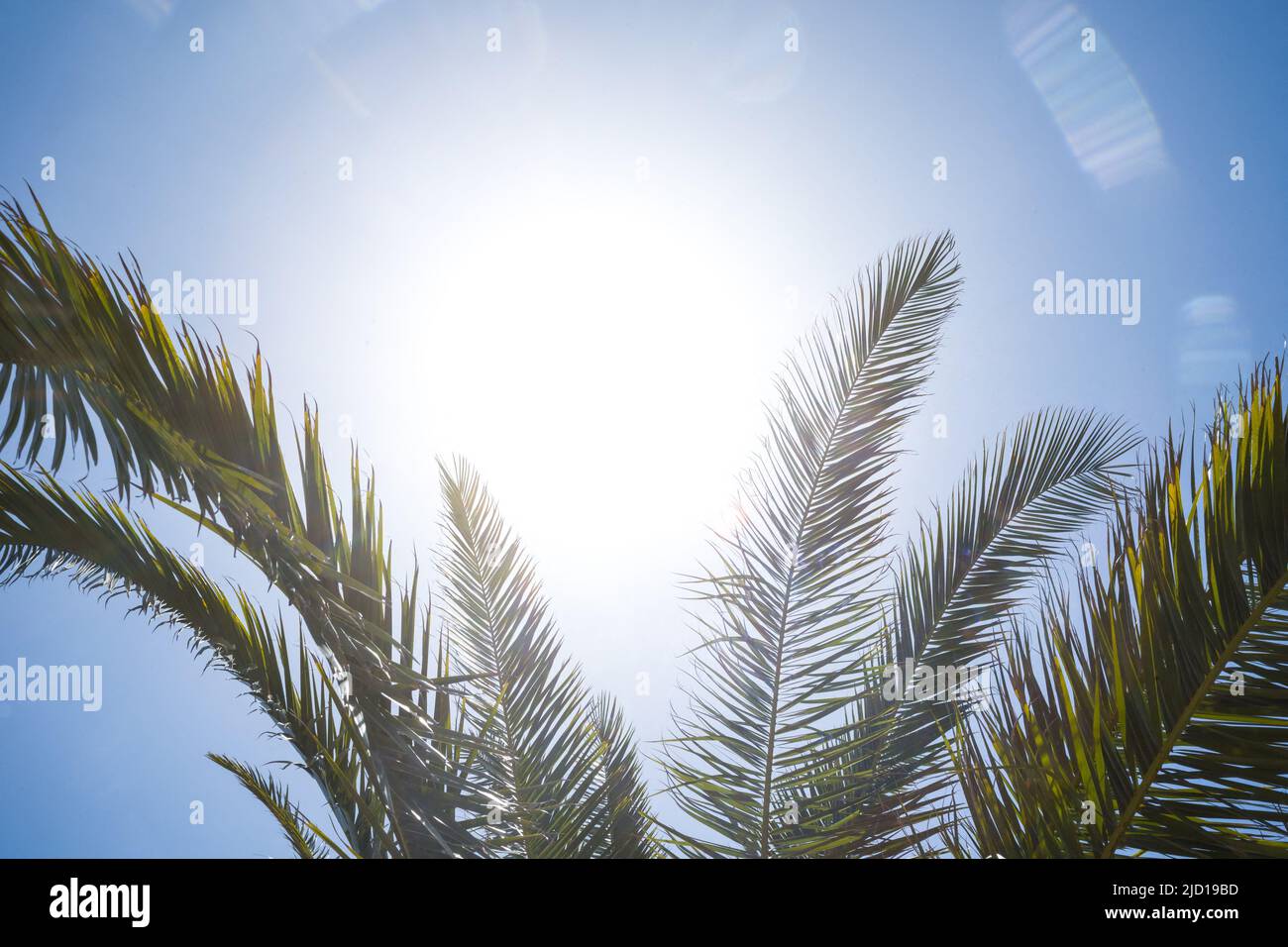 Patricia sun hi-res stock photography and images - Alamy