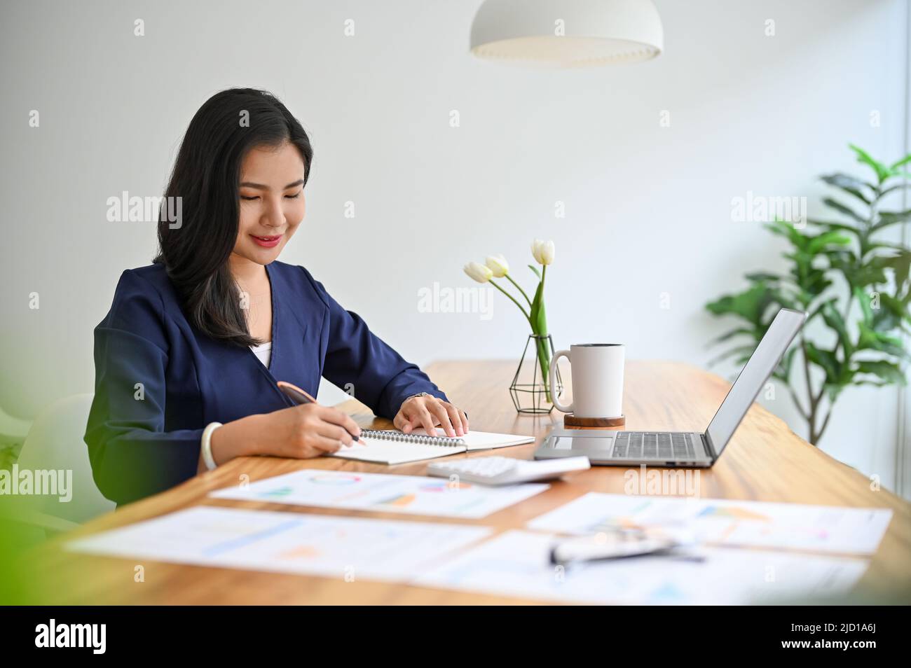 Professional and beautiful asian businesswoman woking on her business ...
