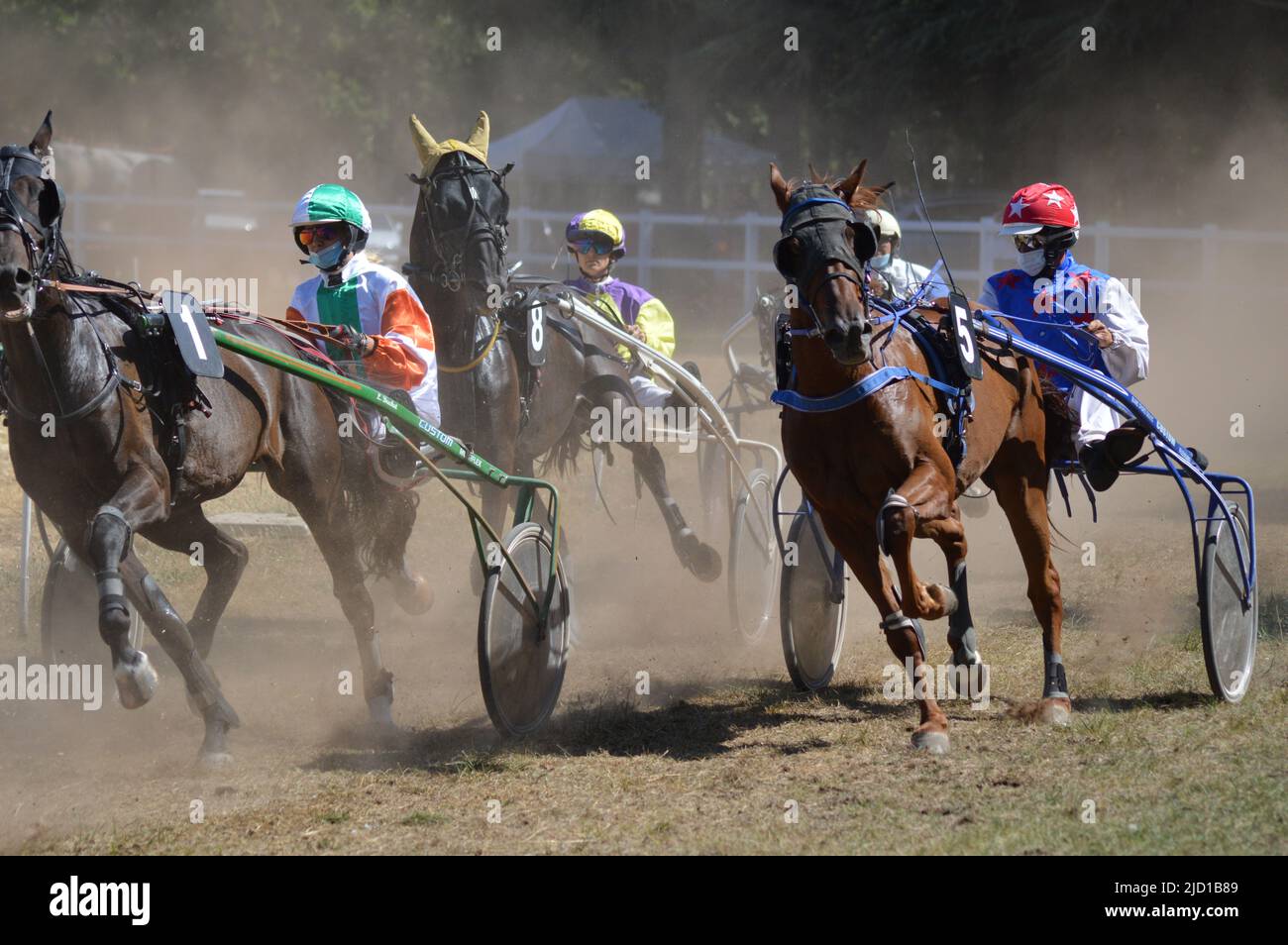 Trotting track hi-res stock photography and images - Alamy