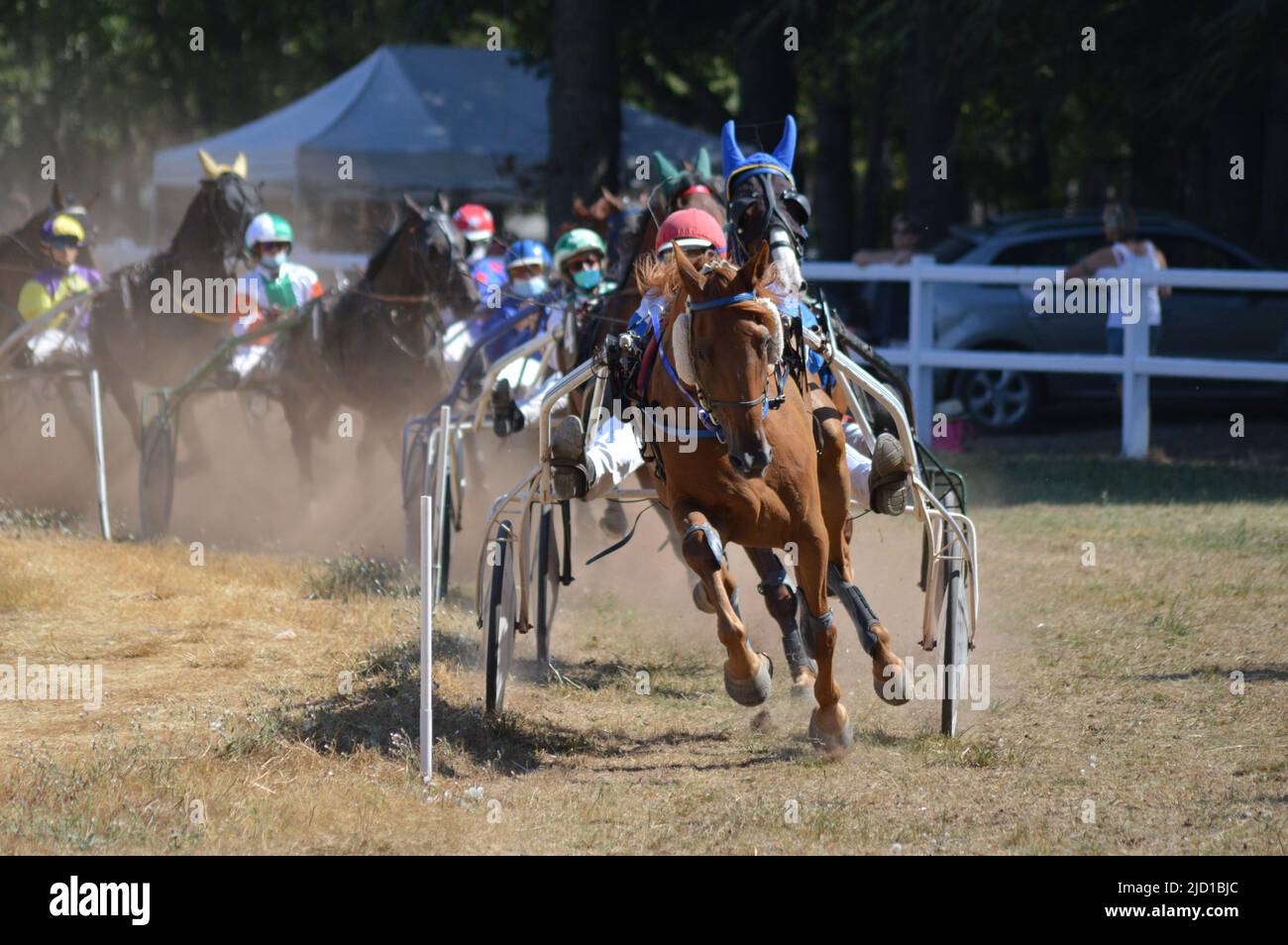 View on a Horse Racecourse Stock Photo - Alamy