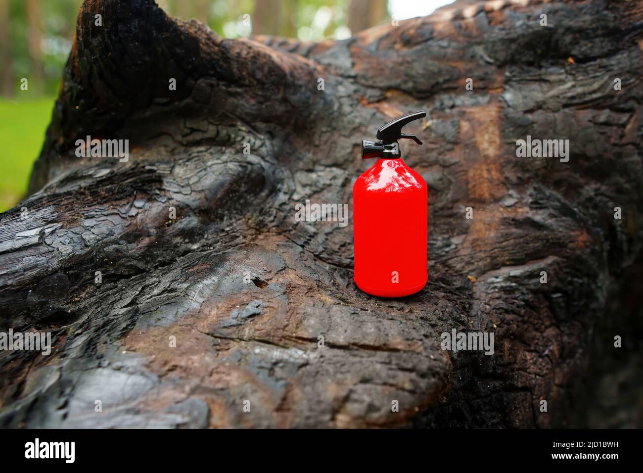 Burnt tree stump with a miniature red fire extinguisher outdoors ...