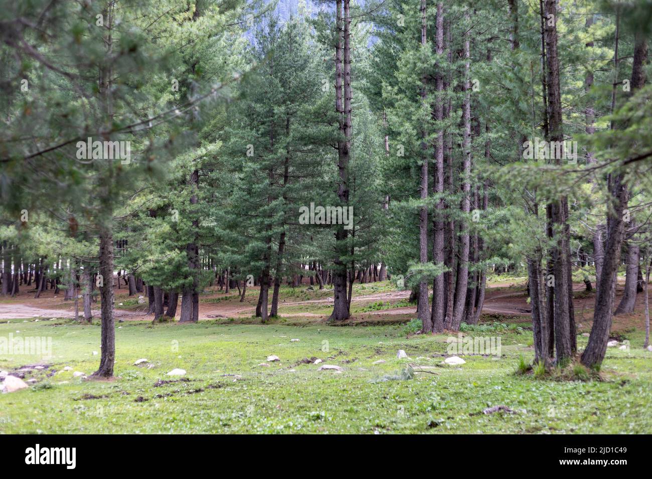 A Kumrat valley beautiful scenery Stock Photo - Alamy
