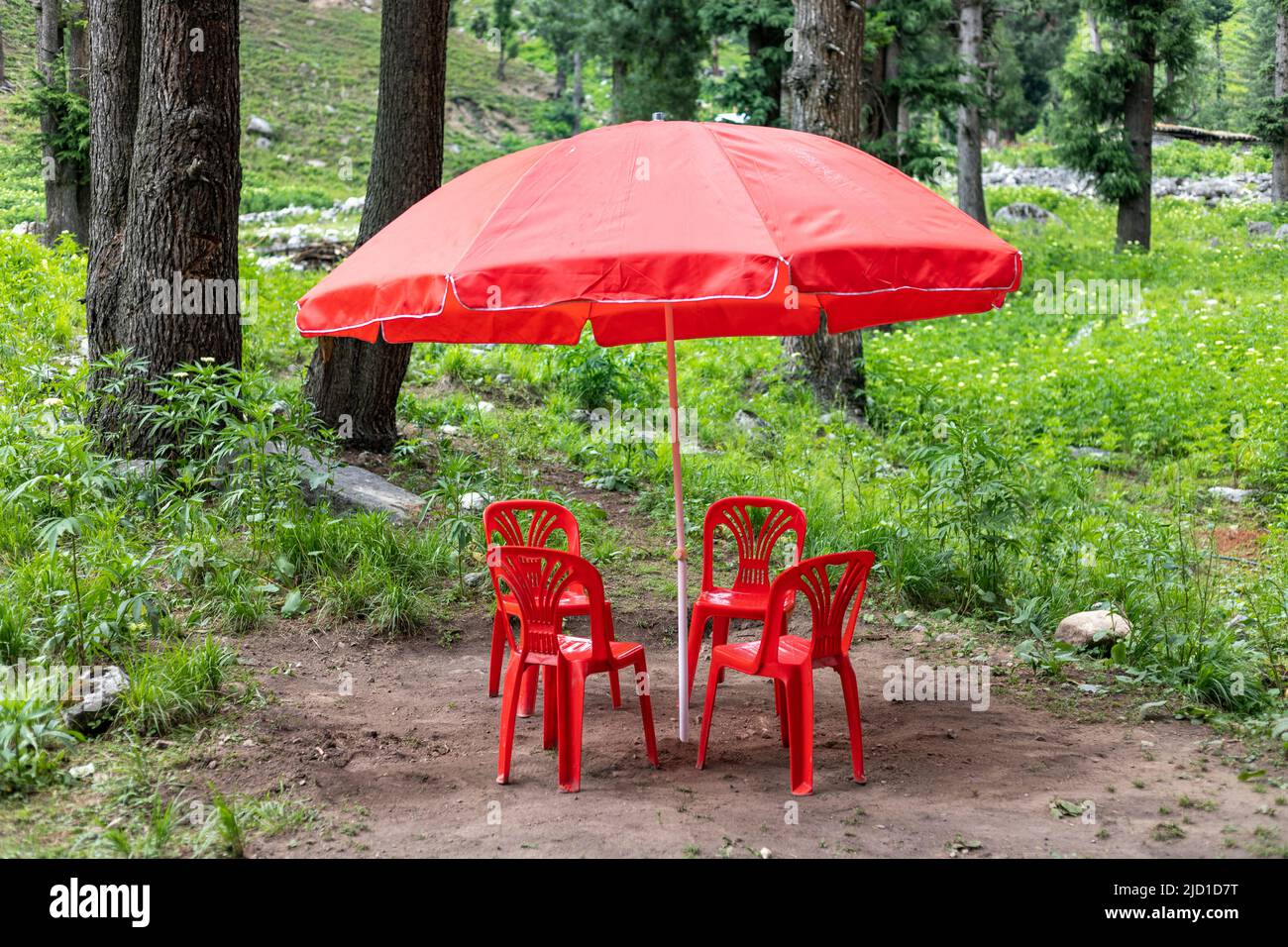 Chairs and table in the forest Stock Photo - Alamy