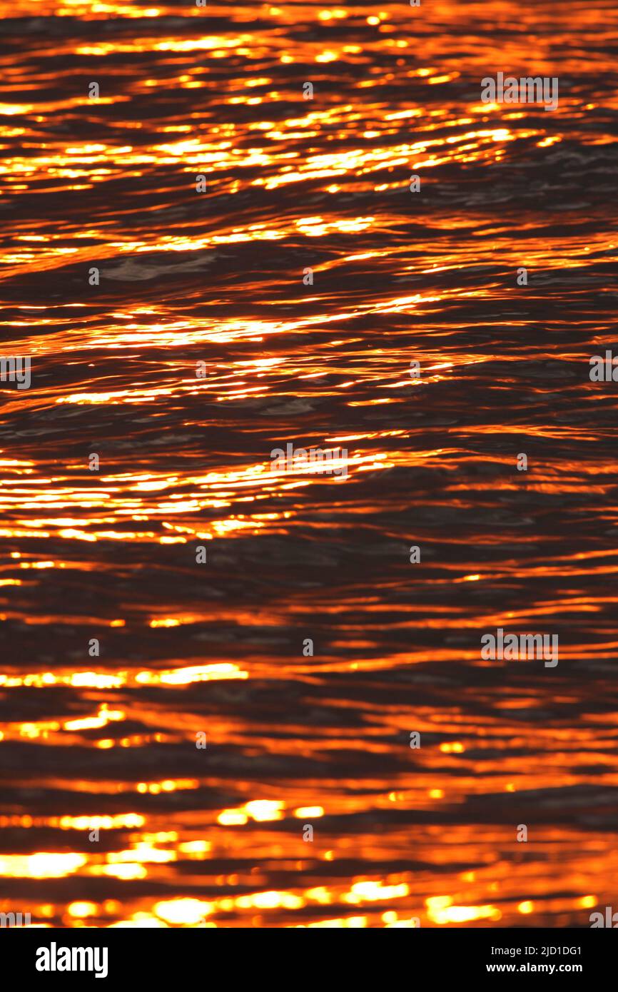 Water Waves, Waves, Galapagos Islands, Ecuador, Pacific, Pacific Ocean ...