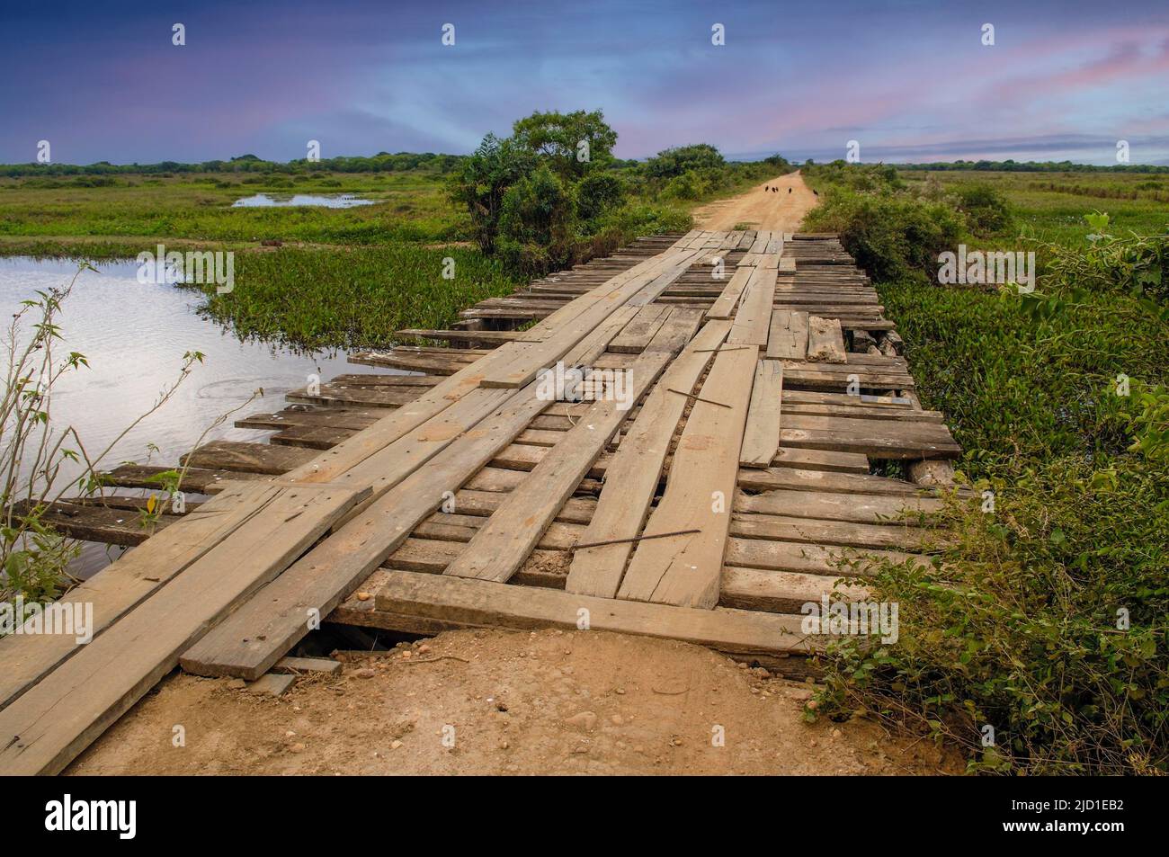 Typical bridge on the Transpantaneira in the Pantanal, Brazil Stock ...