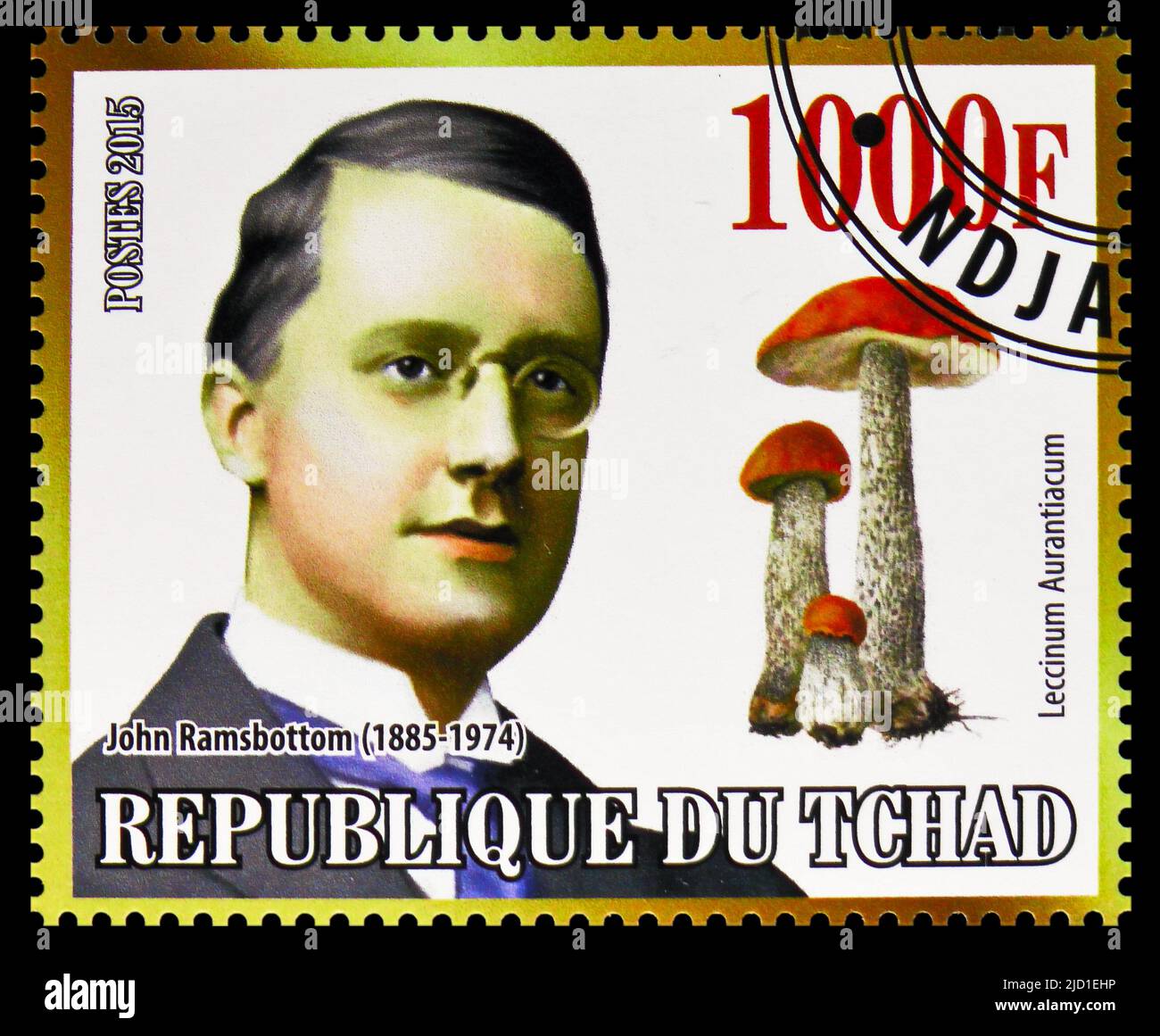 MOSCOW, RUSSIA - JUNE 12, 2022: Postage stamp printed in Chad shows ...