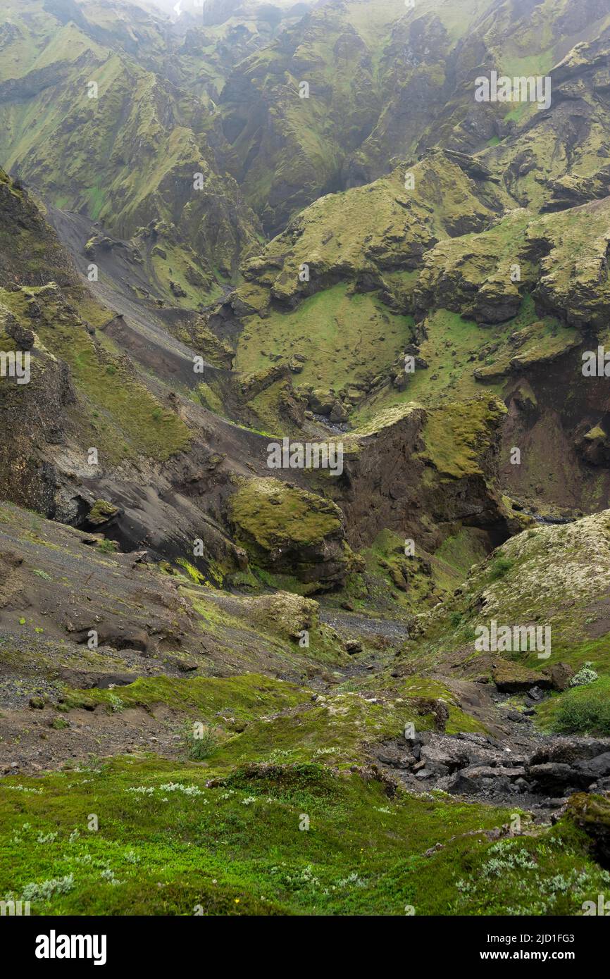 View into rugged moss-covered canyon with tufa rock formations ...