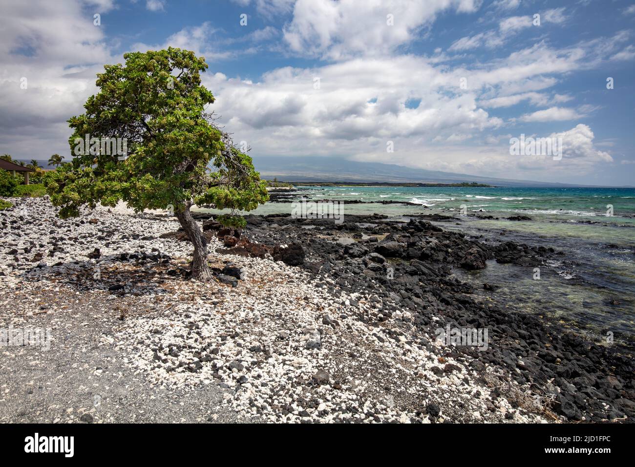 Volcanic beach, Hualalai volcano in the back, Waikoloa Village, Big ...
