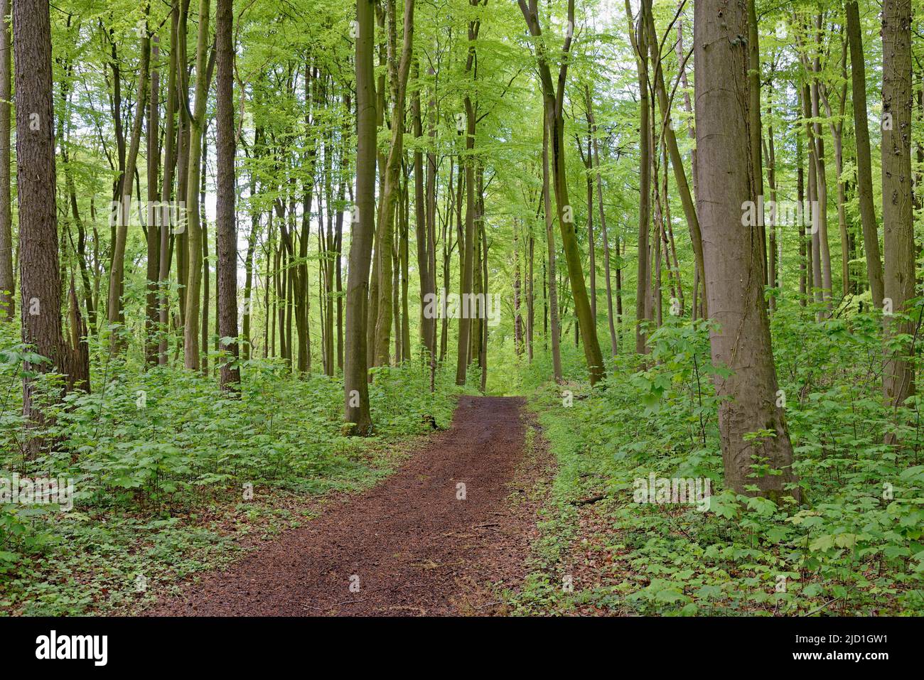 Spring hiking germany hi-res stock photography and images - Alamy