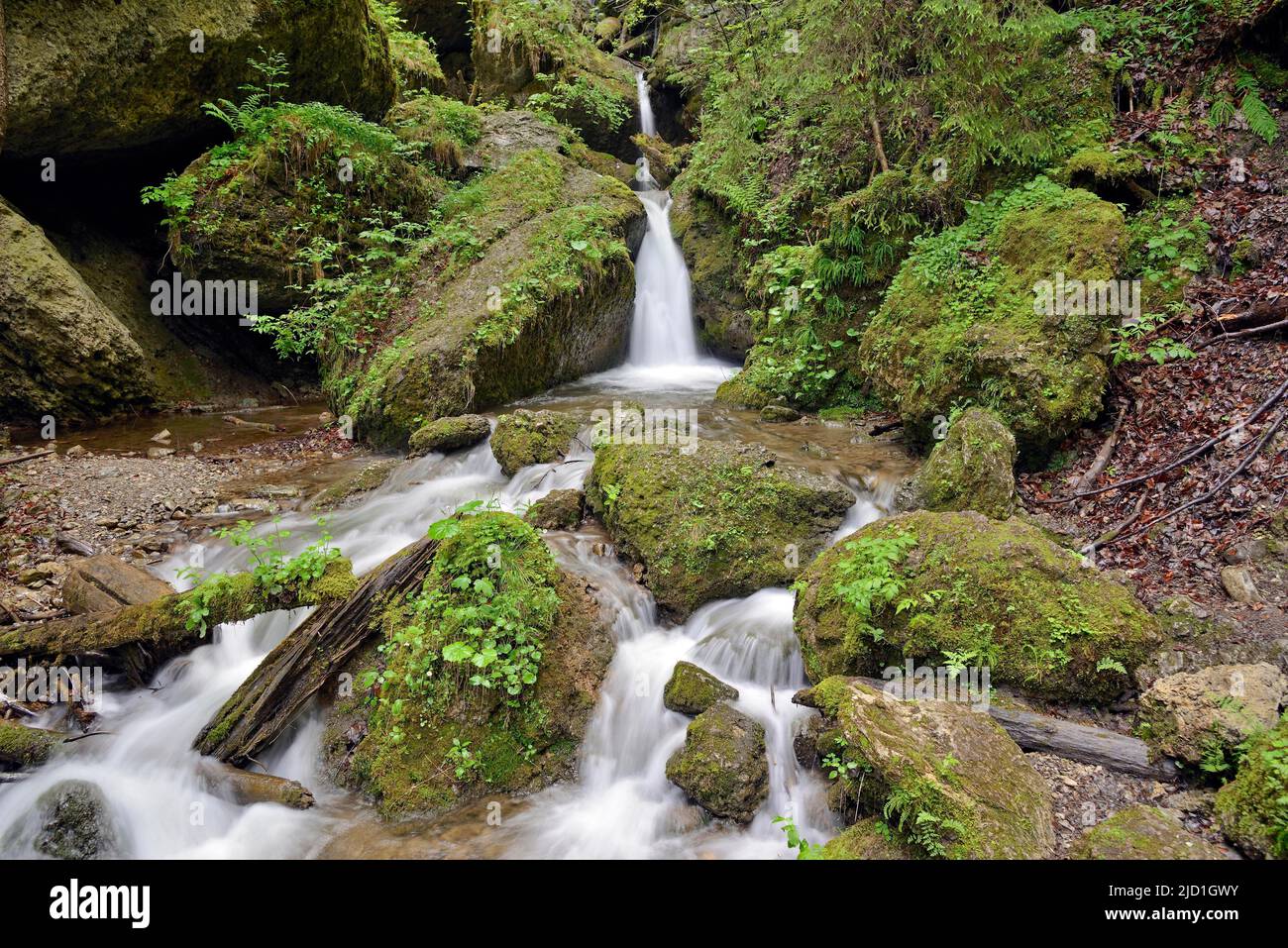 Hinang waterfall, waterfall steps in the ravine, Hinang, Allgaeu Alps ...
