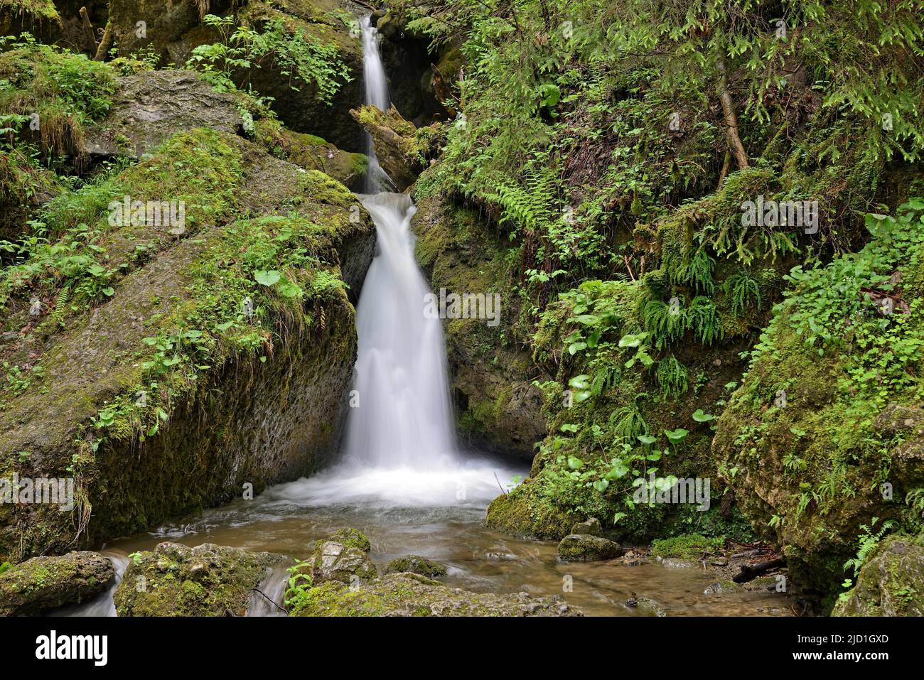 Hinang waterfall, waterfall steps in the ravine, Hinang, Allgaeu Alps ...