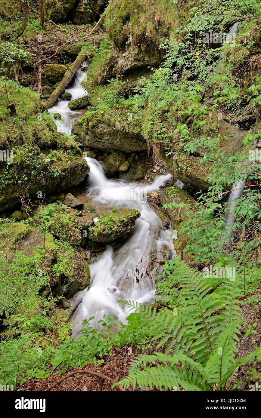 Hinang waterfall, waterfall steps in the ravine, Hinang, Allgaeu Alps ...