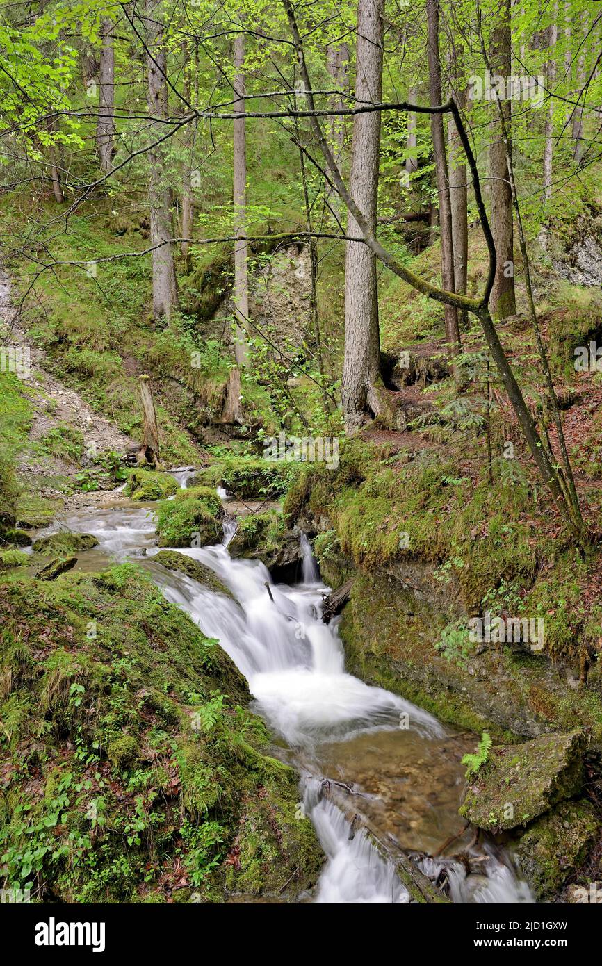Hinang waterfall, waterfall steps in the ravine, Hinang, Allgaeu Alps ...