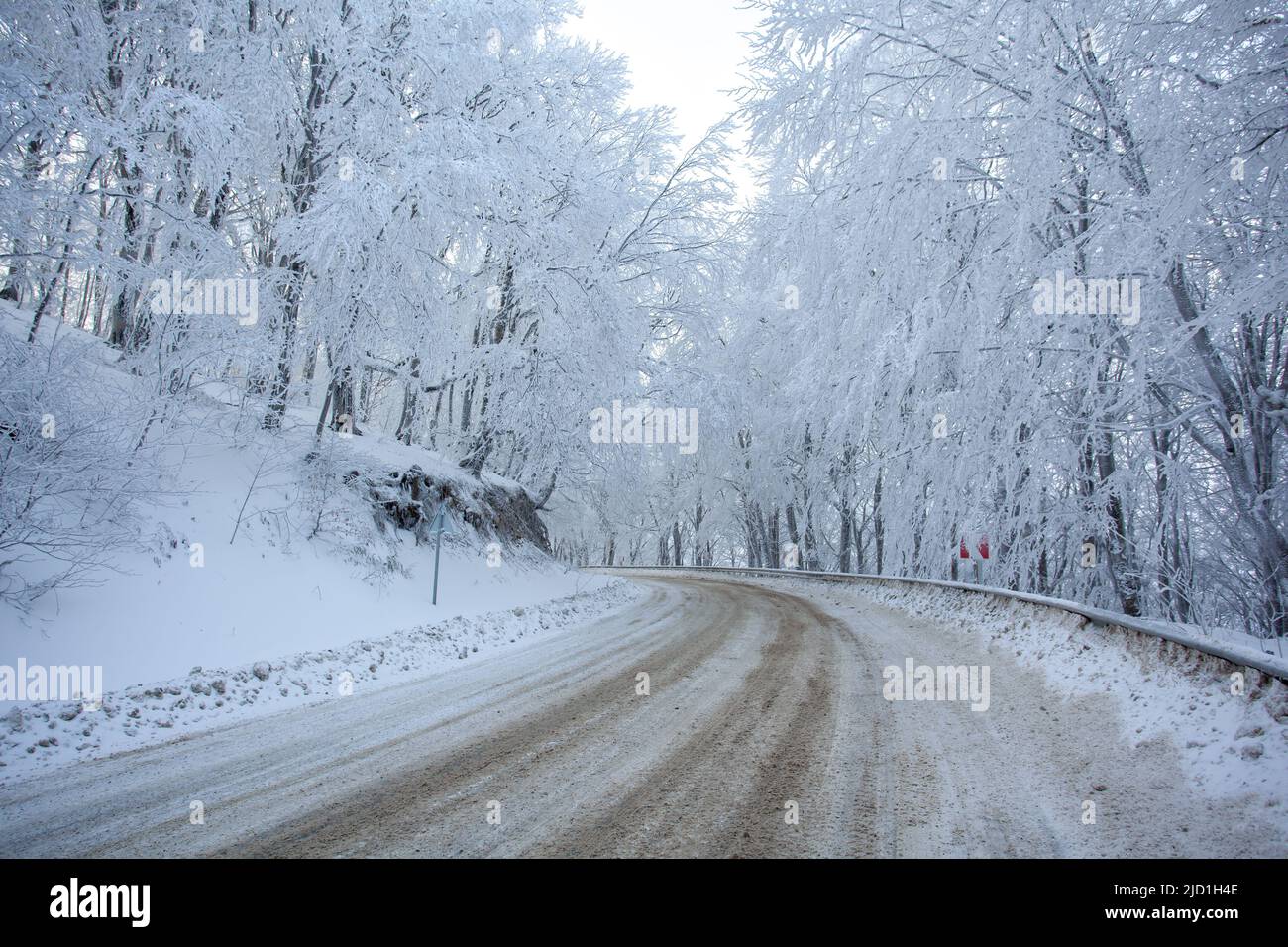 Road in Sabaduri forest with covered snow. Winter time. Landscape Stock ...