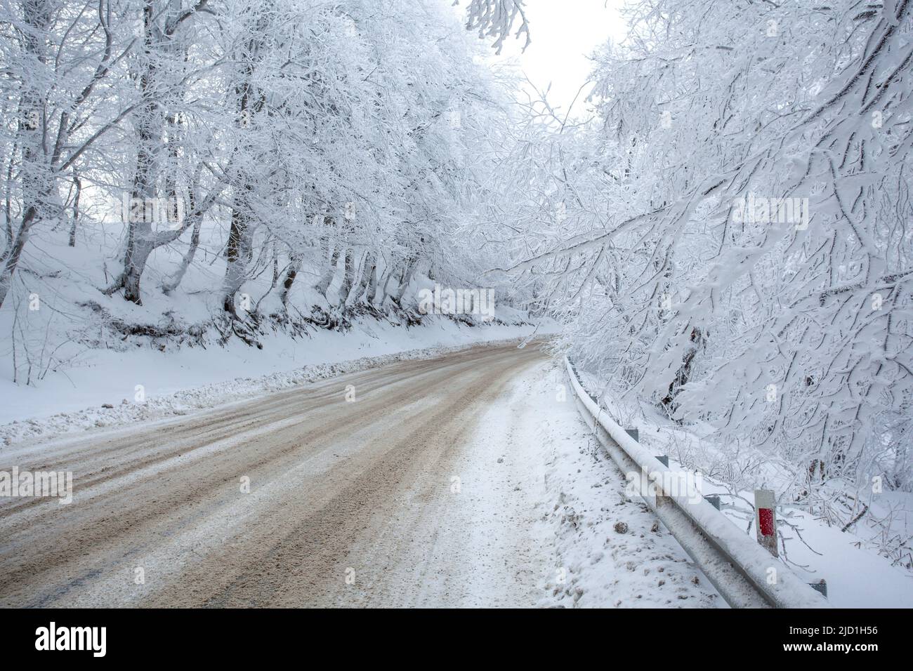 Road in Sabaduri forest with covered snow. Winter time. Landscape Stock ...