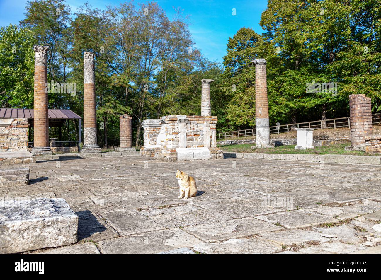 ruins of an ancient Roman city with columns in an Italian ...