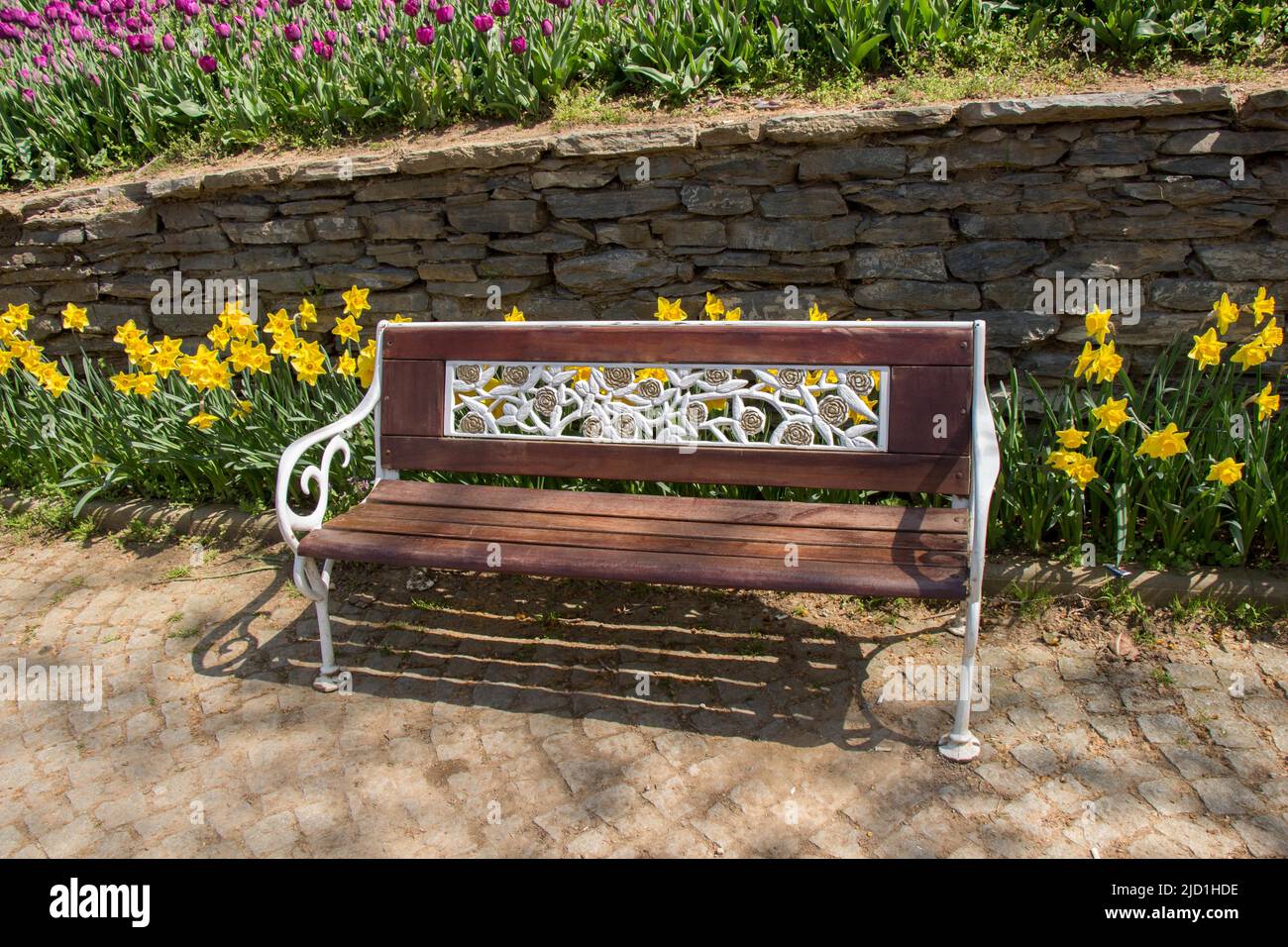 Wooden park bench at a park Stock Photo - Alamy