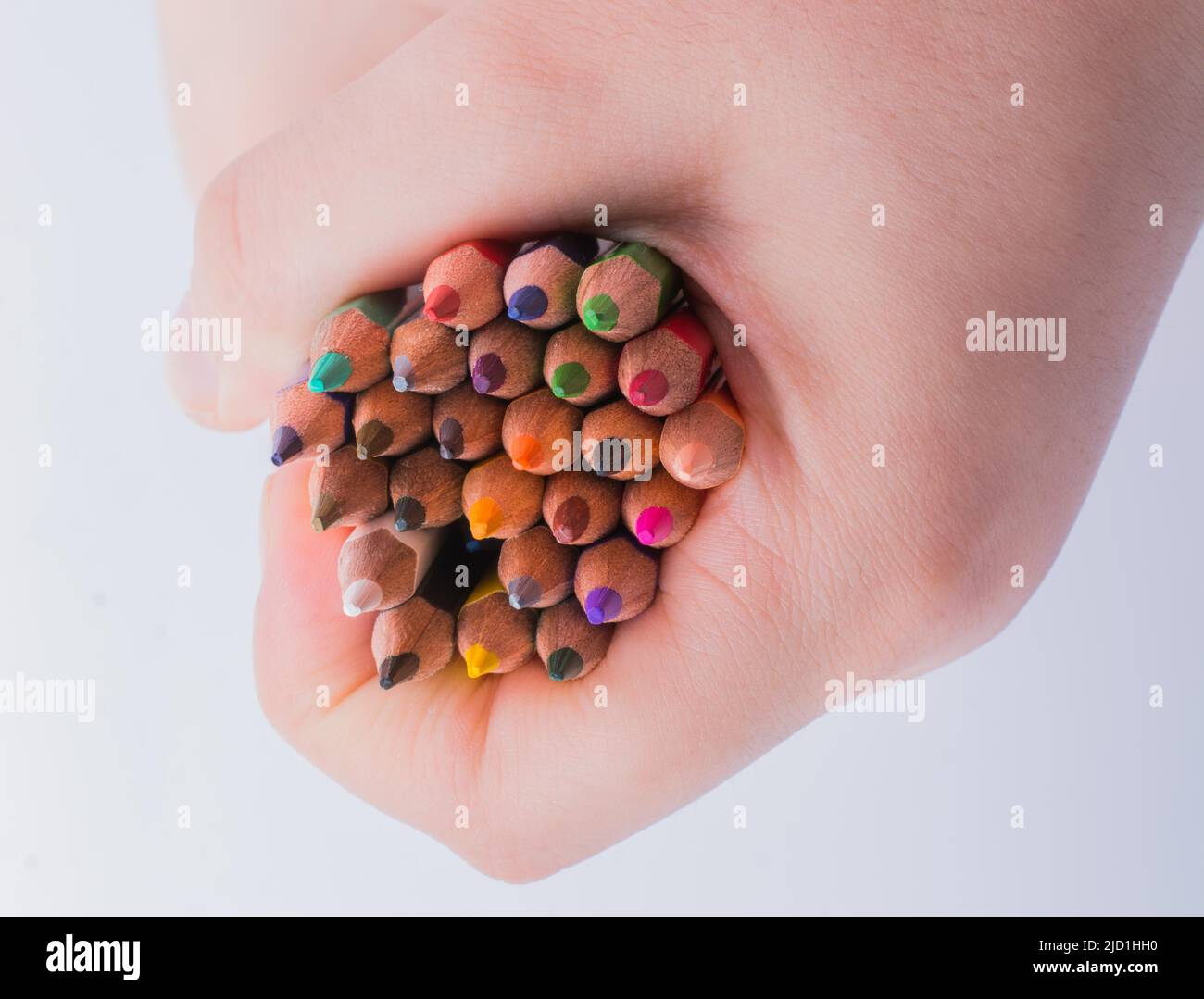 Hand holding color Pencils placed on a white background Stock Photo - Alamy