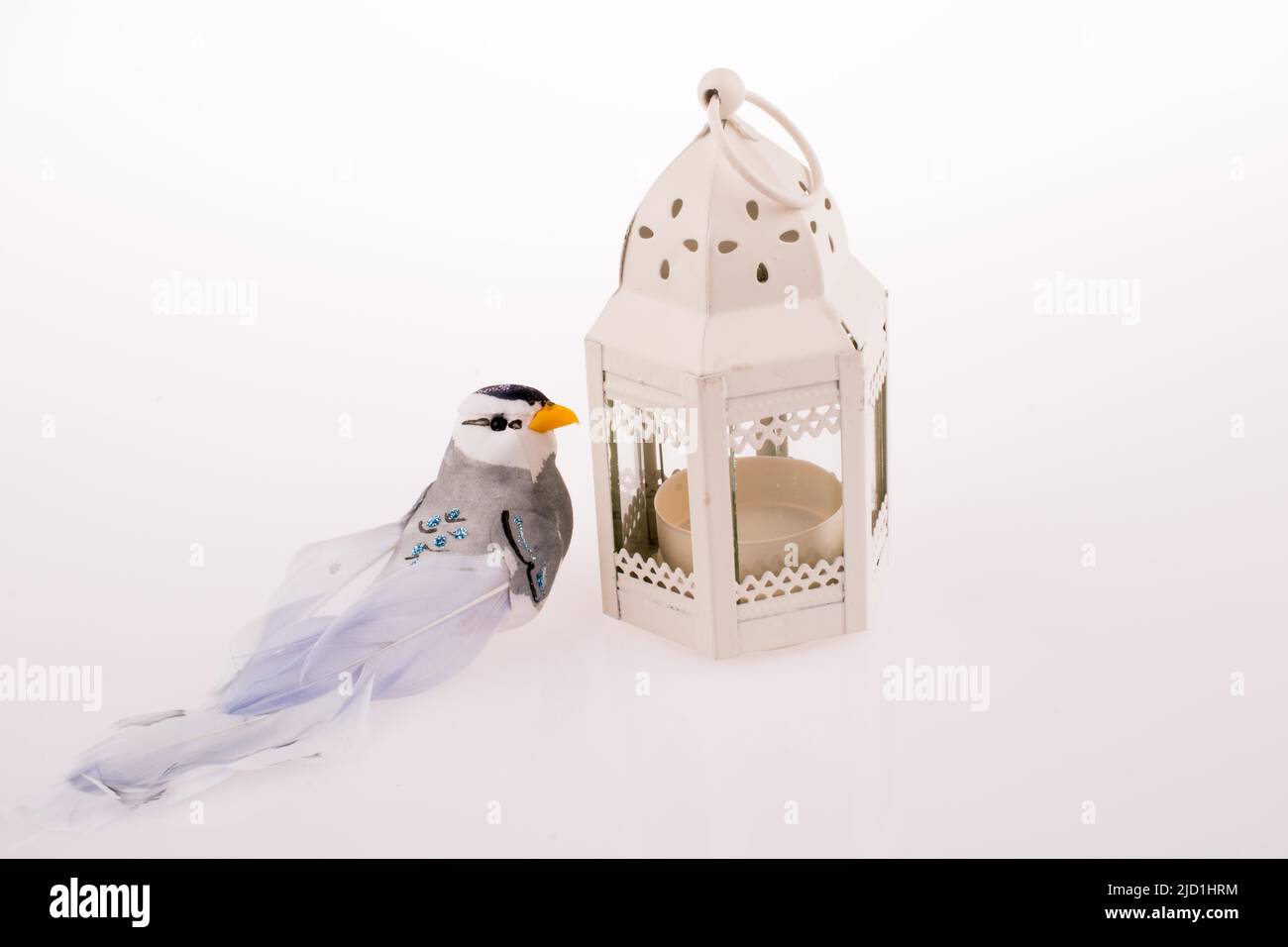 Bird near a red birdcage Stock Photo - Alamy