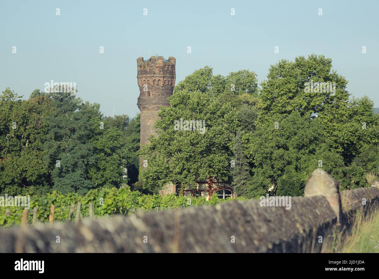 Castle in hattenheim in the rheingau hi-res stock photography and ...