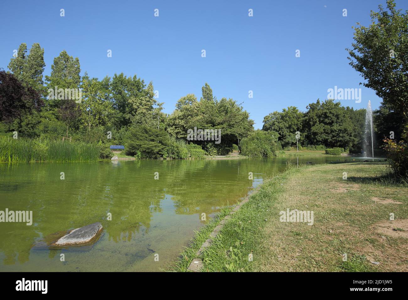 City park with pond and fountain in Hattersheim, Taunus, Hesse, Germany ...
