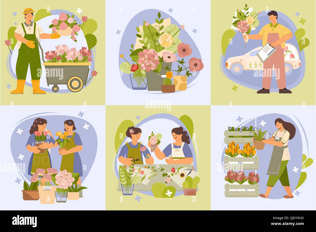 Floristic concept 6 flat compositions with flower farm production ...