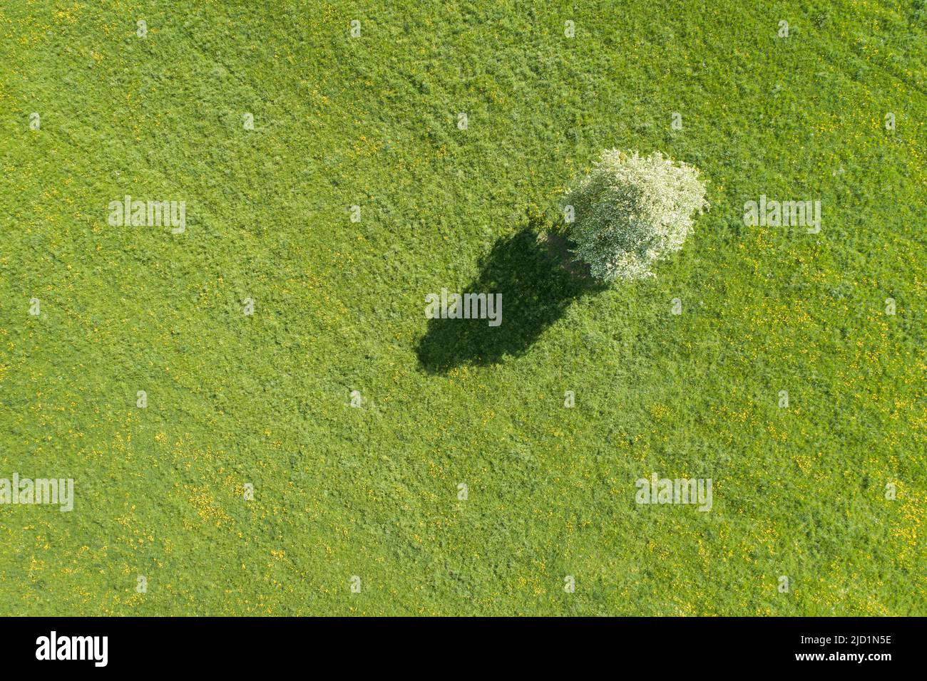 Alone with the shadows hi-res stock photography and images - Alamy