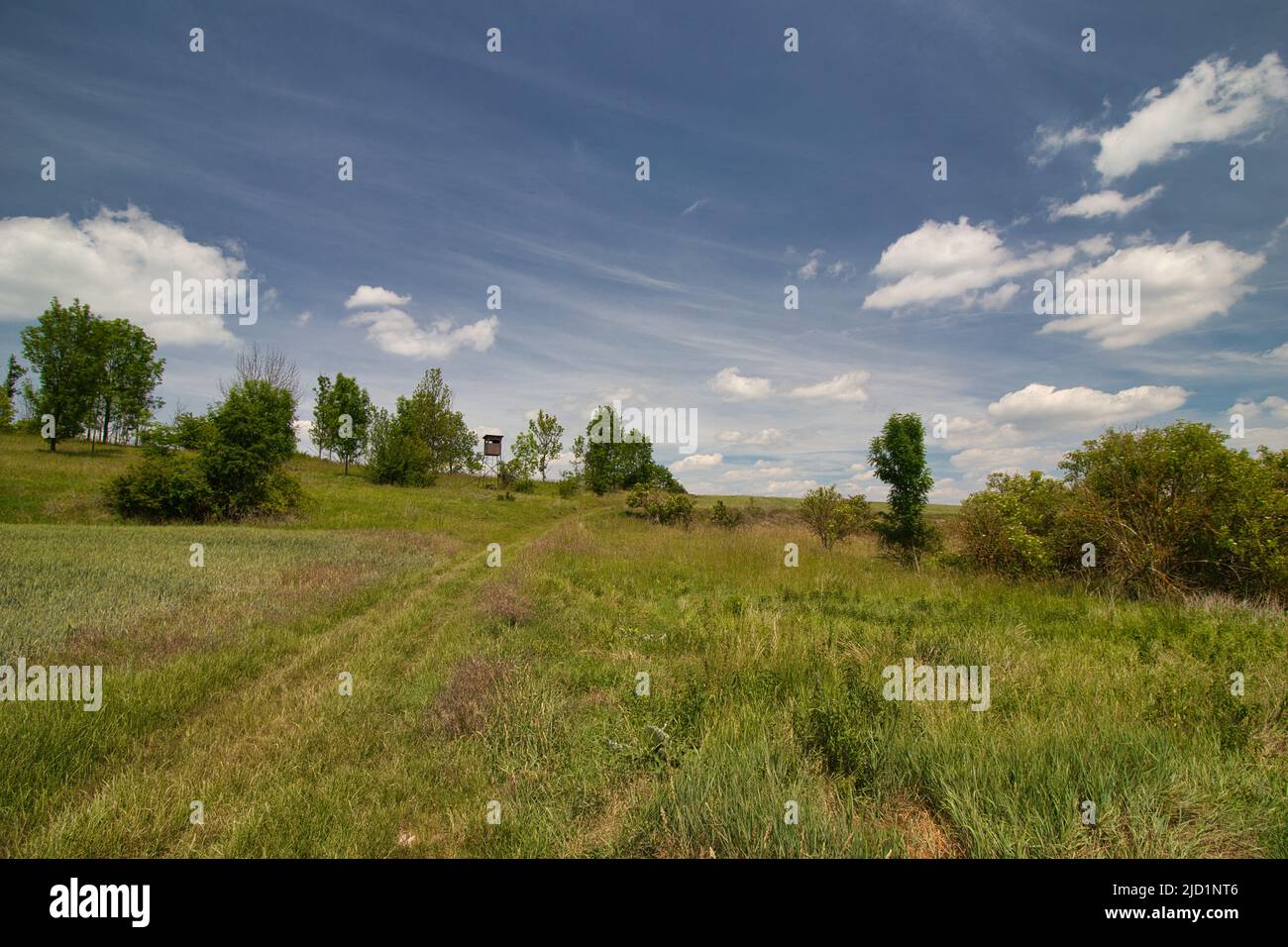 Beautiful landscape green field path hi-res stock photography and ...