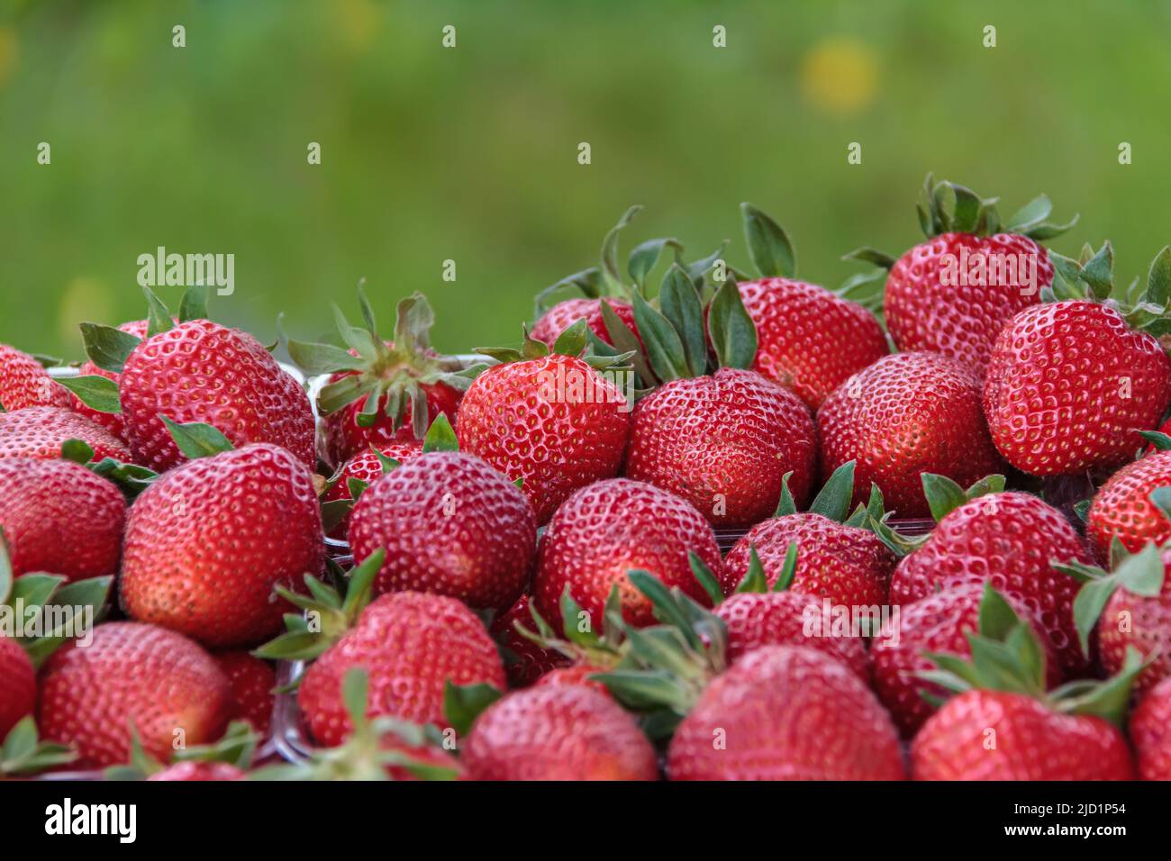 Fresh organic red ripe Strawberry fruit background closeup Stock Photo ...
