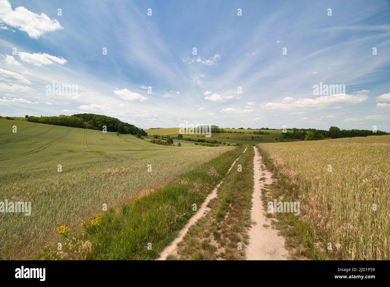 A dusty path to small walley between grain fields in spring day under ...