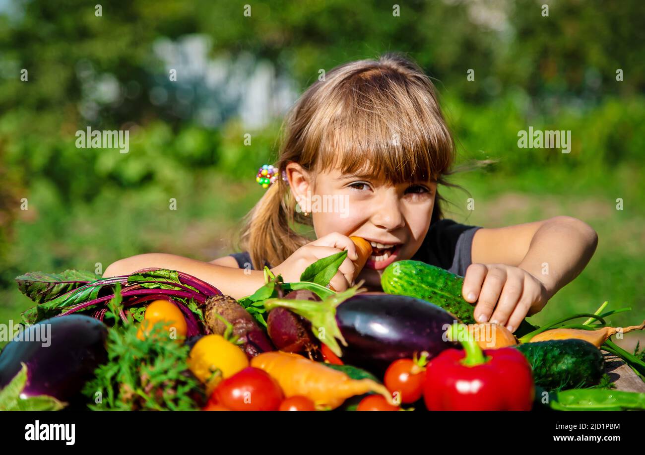 Vegetables to grow with kids hi-res stock photography and images - Alamy