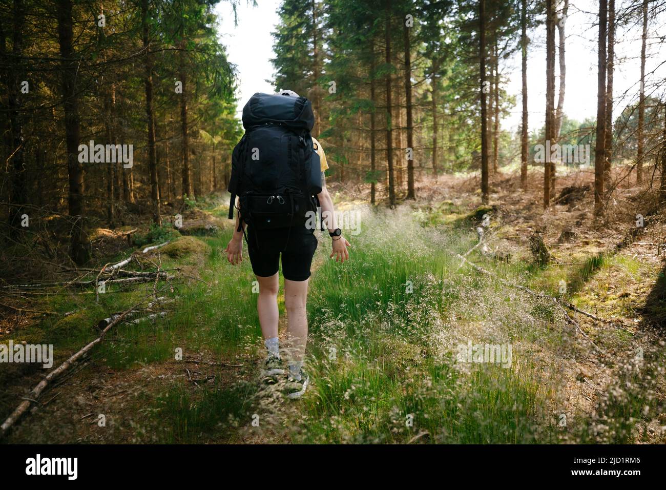 Rear view of woman carrying backpack Stock Photo - Alamy